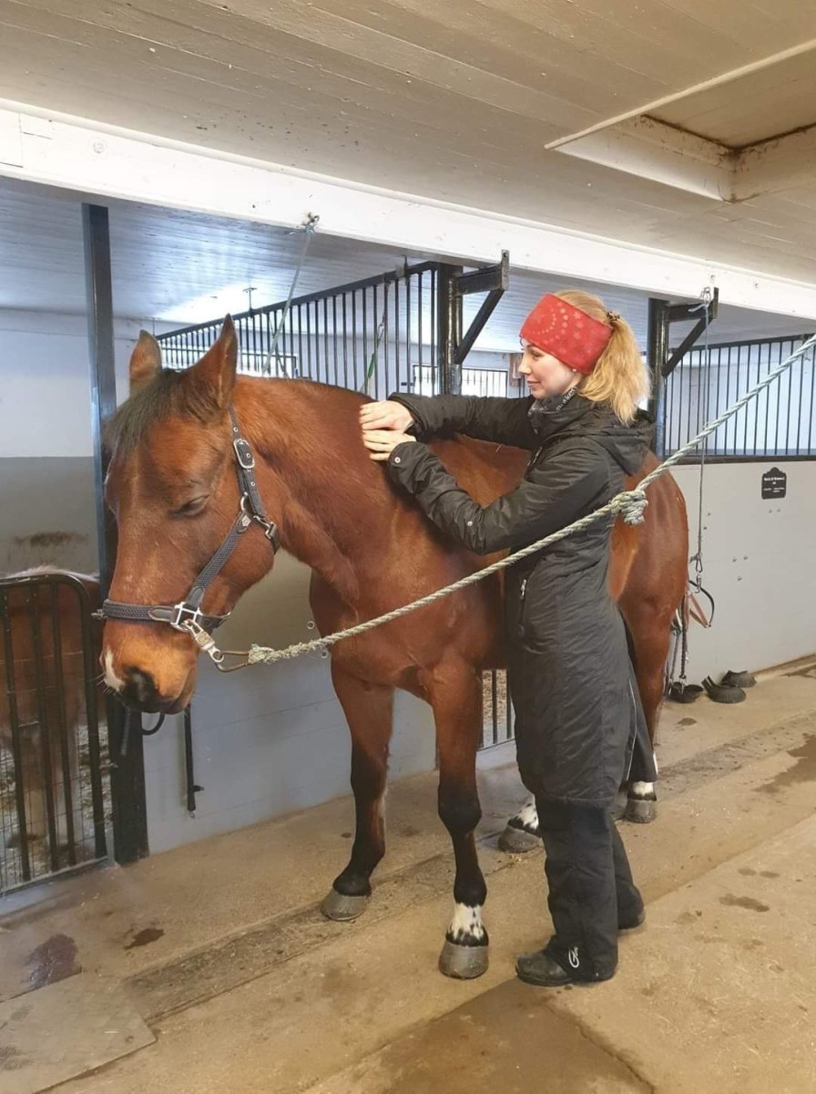 Sofie Nilsson Valles equifysiteraupet – Uppbyggande Träning