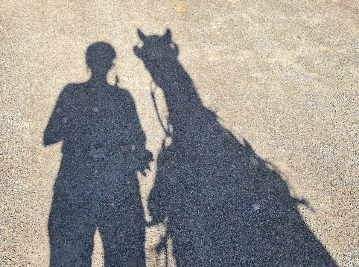 If you can’t go right you can always go left! – Uppbyggande Träning